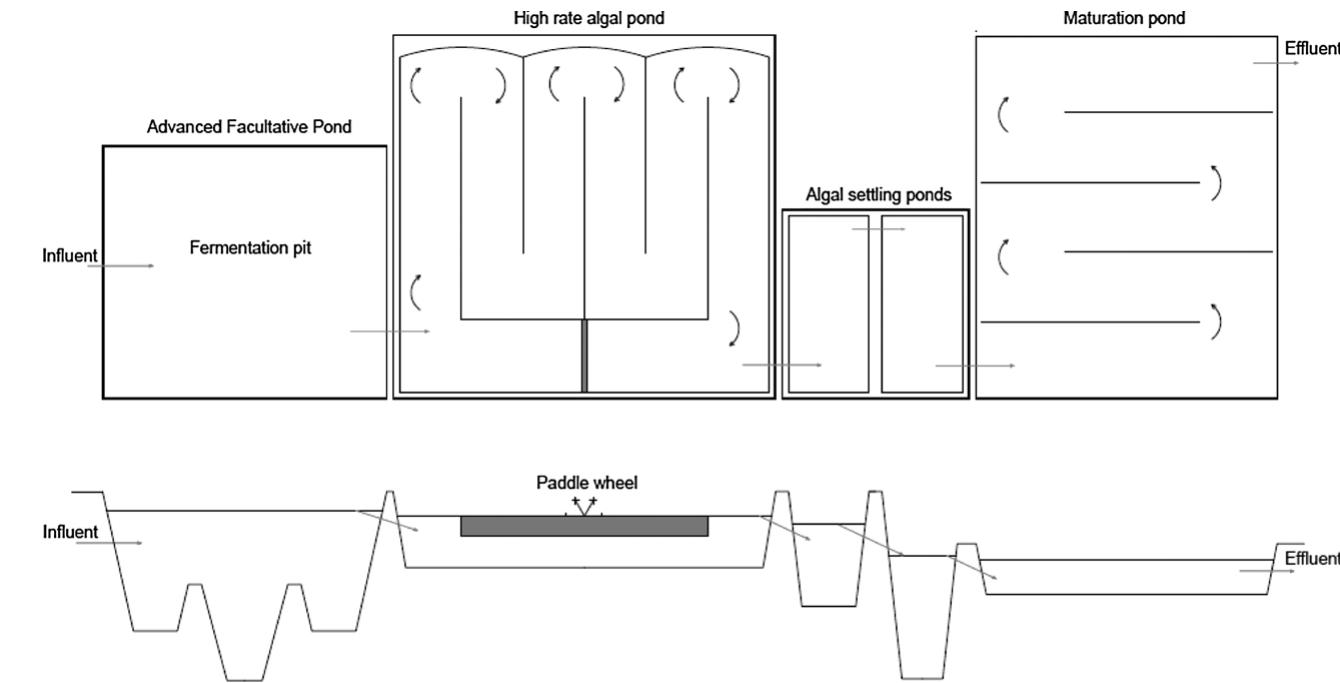 Plan view (top) and longitudinal cross-section (bottom)