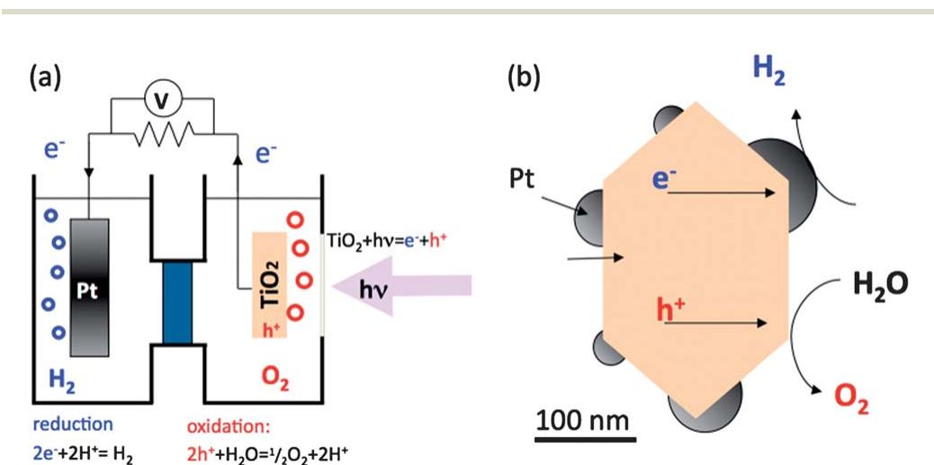 Simple schematic of (a) photoelectrochemical cell and (b)