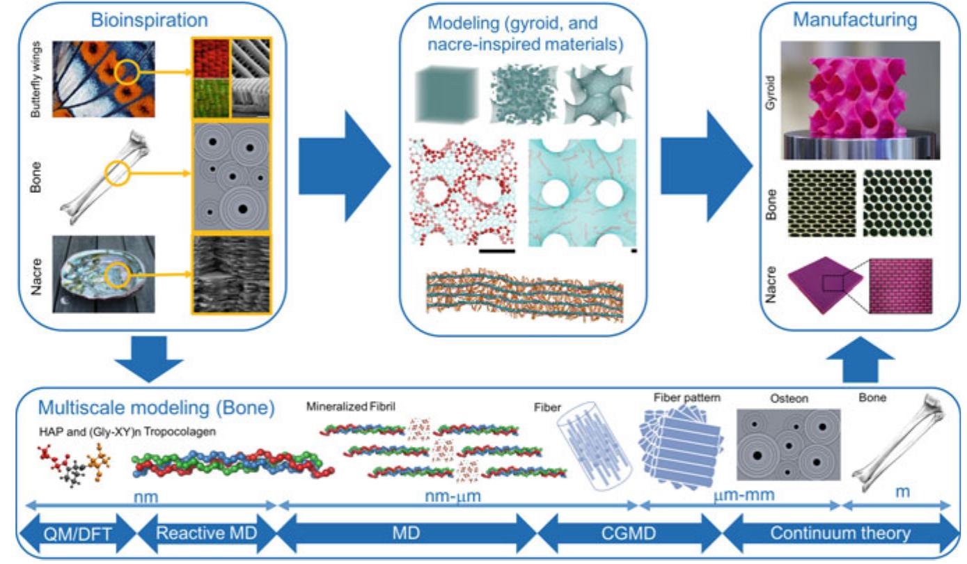 1 schematic representation that shows the workflow from