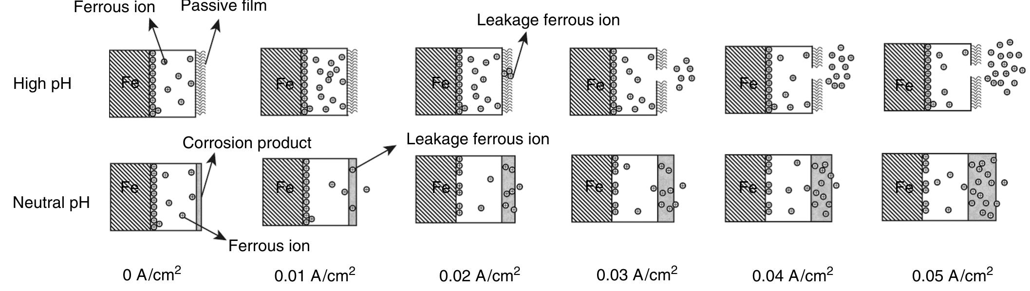Schematic diagram of the mechanistic model for ac corrosion