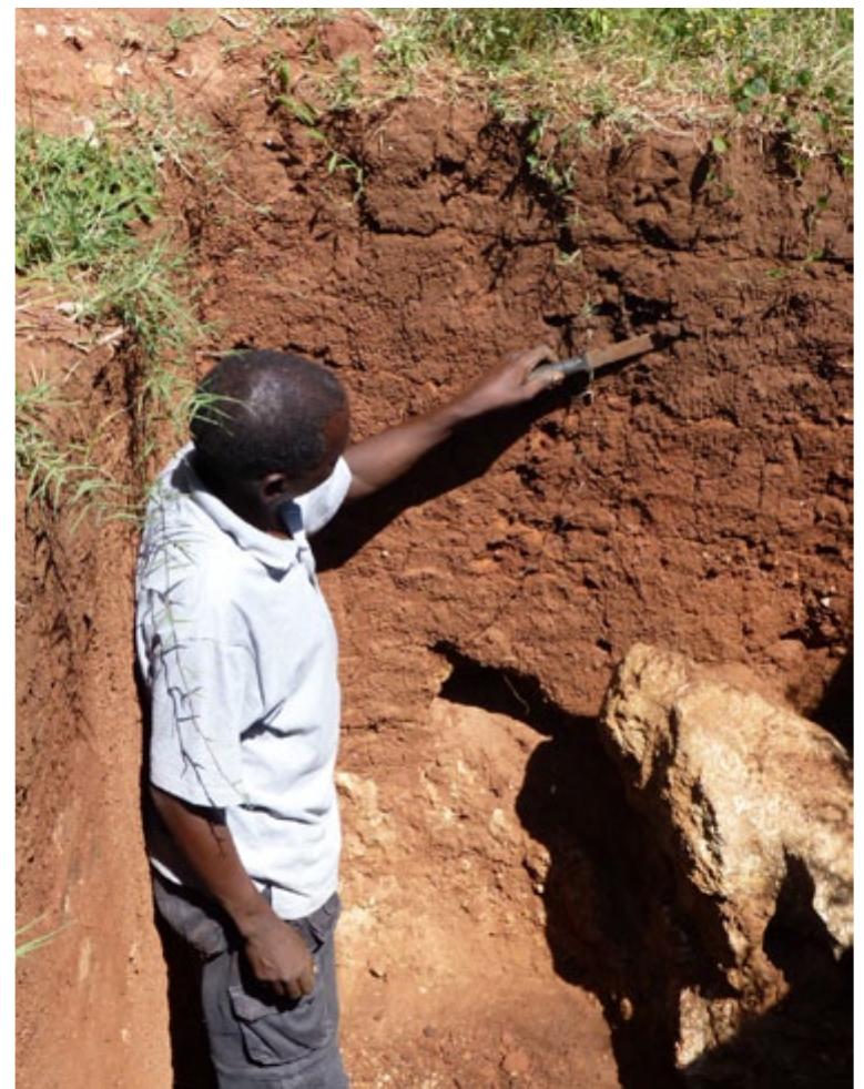 Soil of the makeni series (lixisol) at mt. makulu research