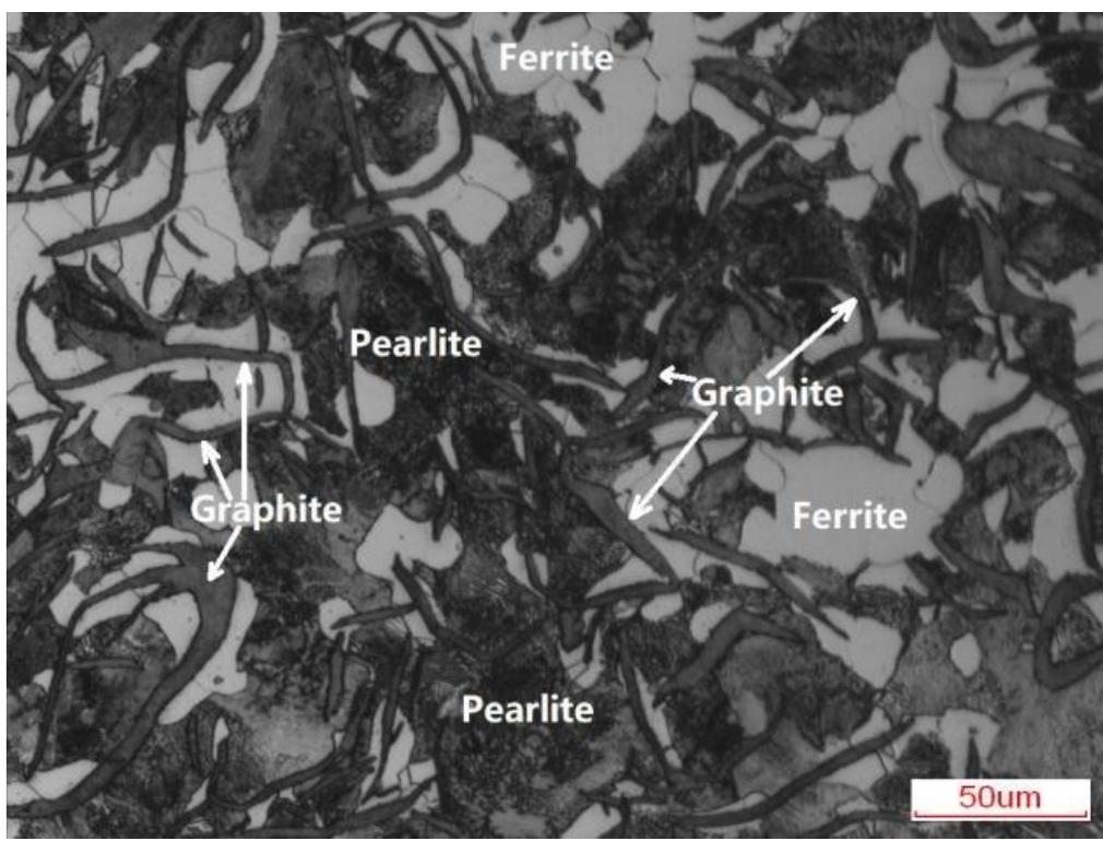 Illustration of typical grey cast iron micrograph [11].