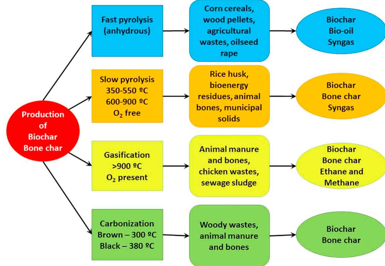 Schematic diagram of biochar and bone char production