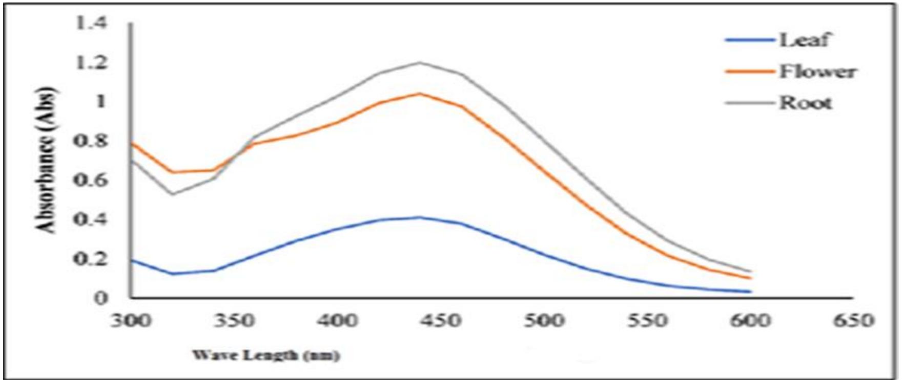 Uv-vis spectra of p. vulgaris leaf, flower and root extract