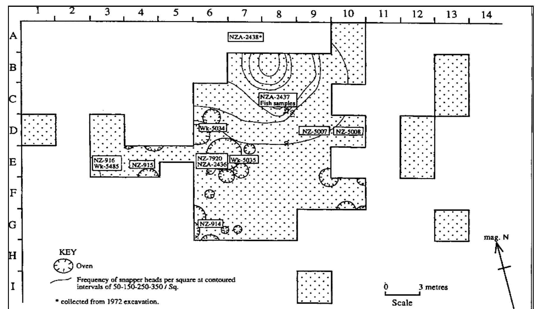 4 site plan of houhora excavations. the location of 12
