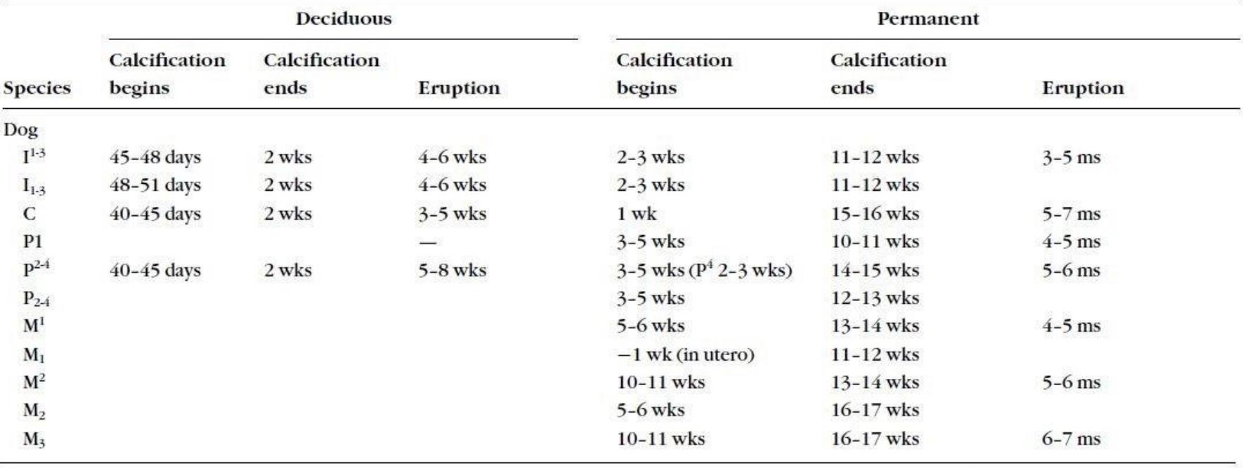 1 calcification and eruption times in domestic dogs.