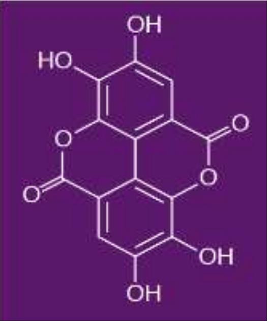 Gambar 2. struktur senyawa asam ellagic. gambar diadopsi