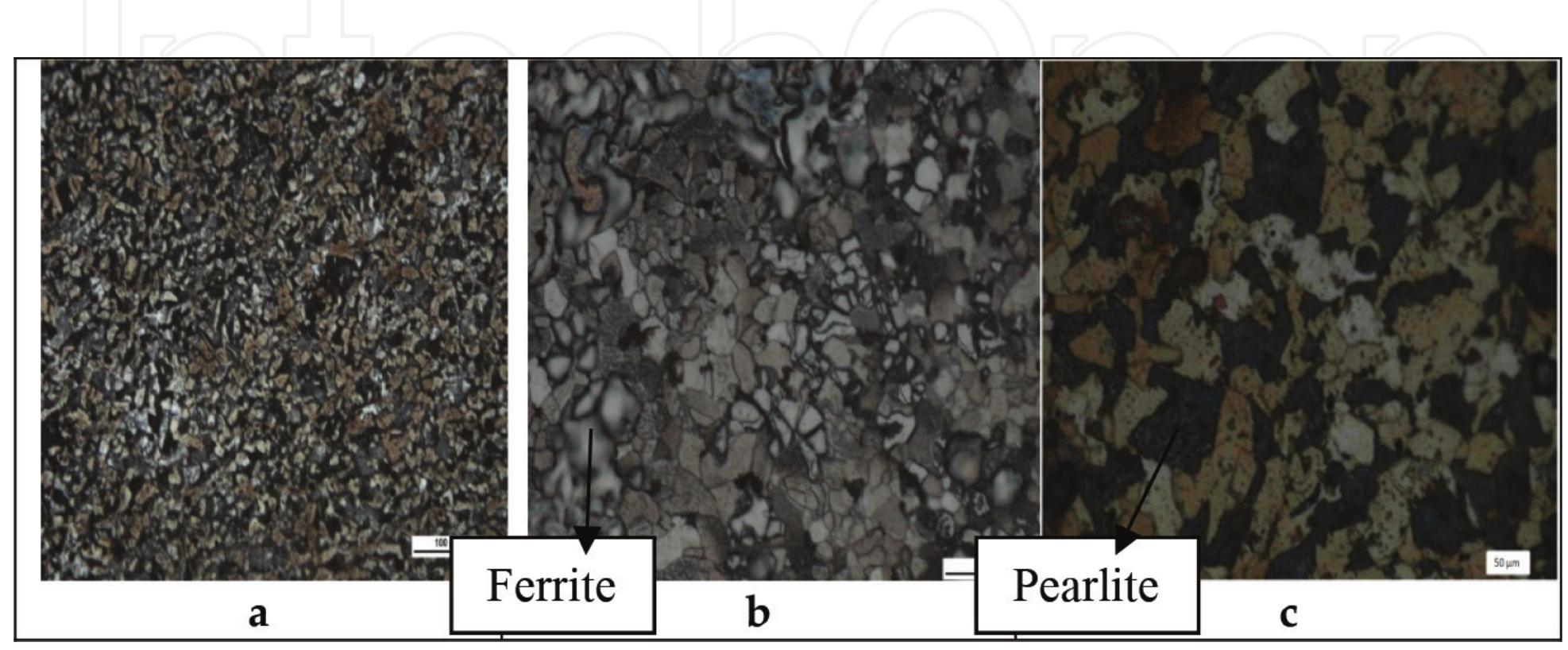Microstructure of mild steel sample displayed: (a) 20x, (b)