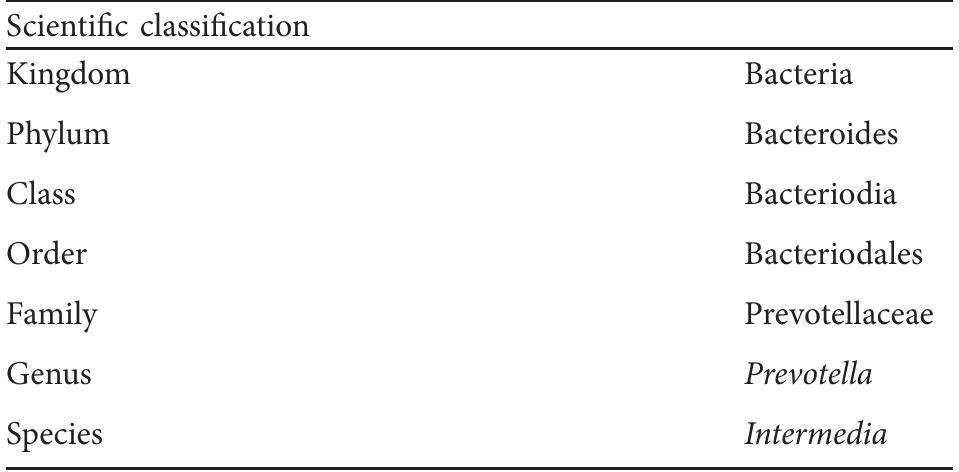 (PDF) Prevotella intermedia - An overview and its role in periodontitis