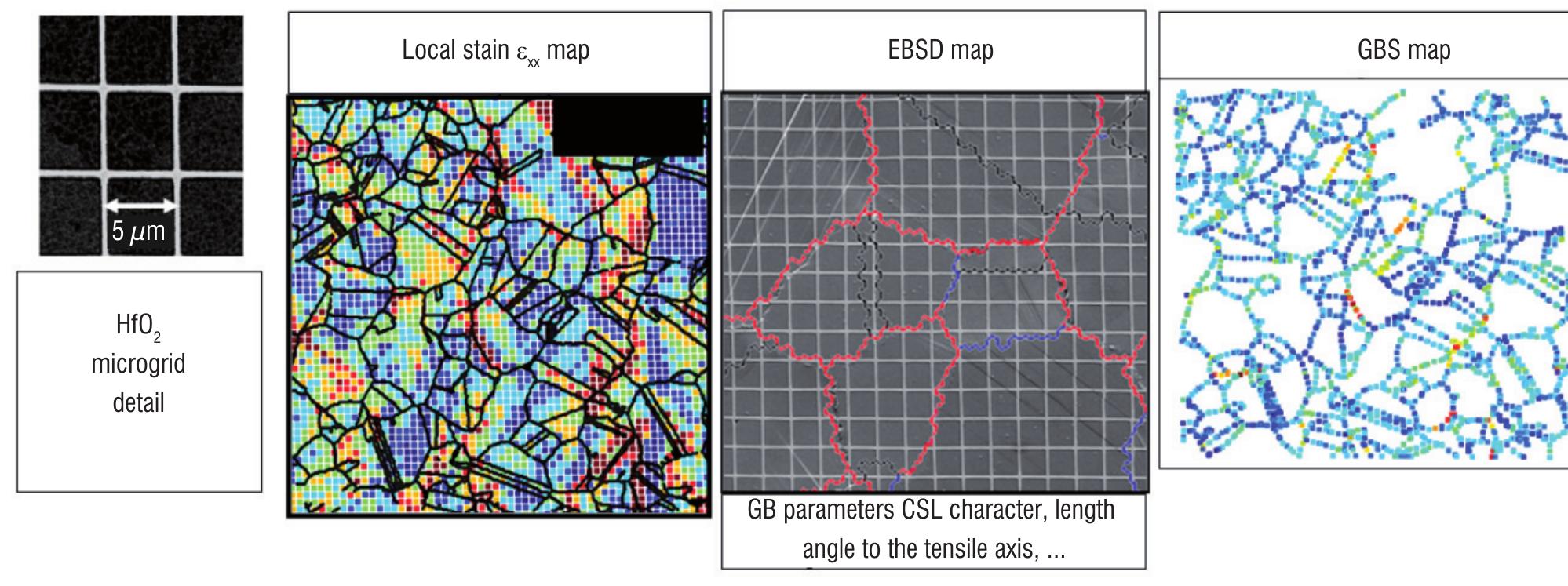 - microgrid, deformation maps and ebsd map used to study the