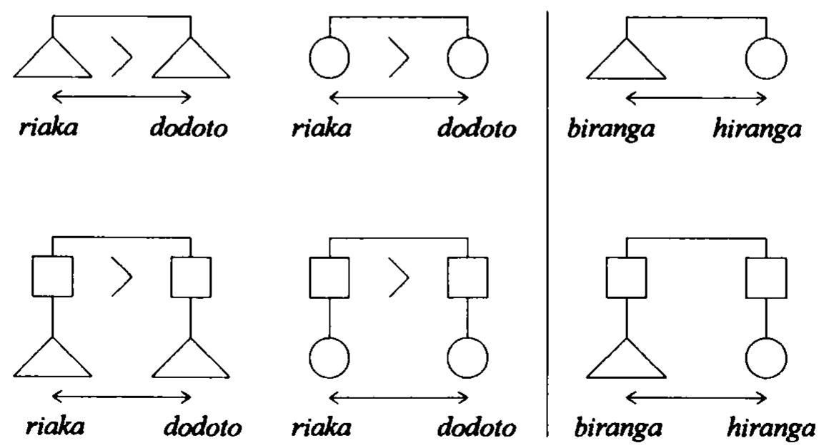 Ficurk 3. riaka-dodoto and hiranga—biranga relationships.