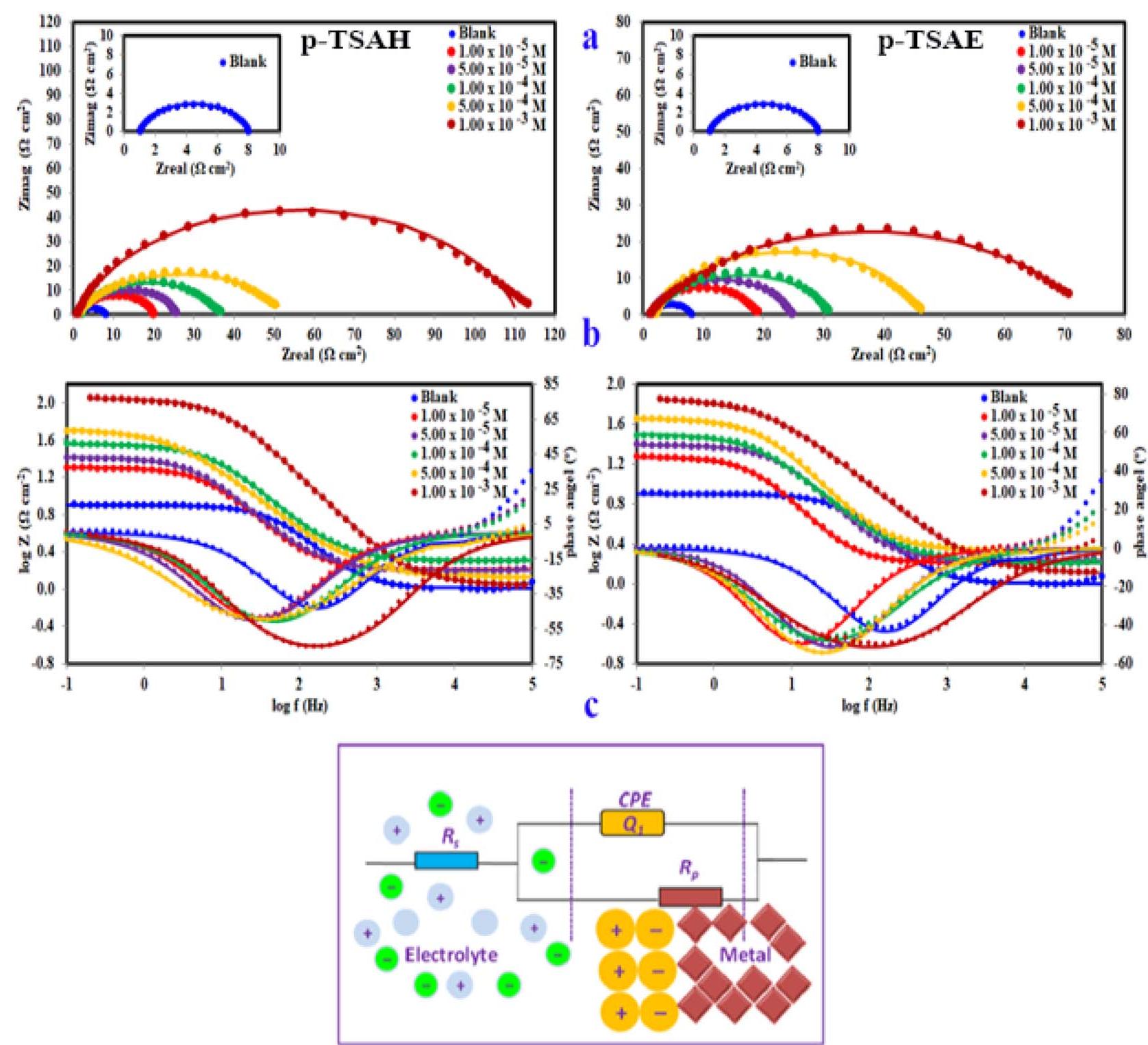 (a) nyquist and (b) bode modulus, phase angle plots (the