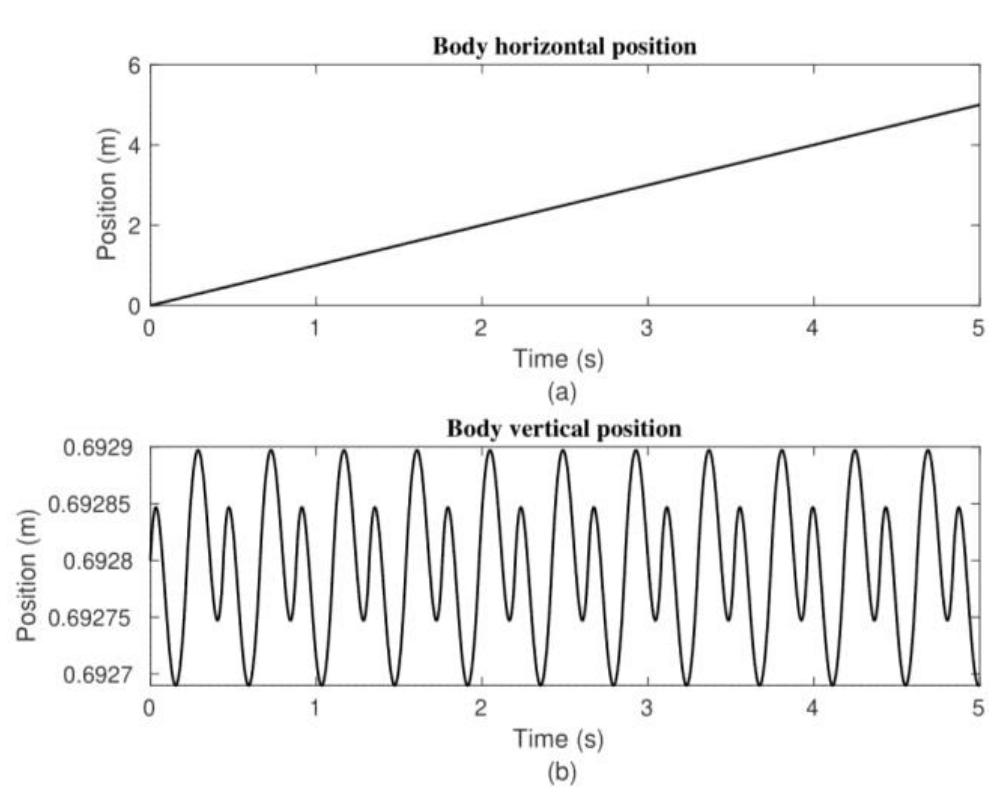 Body linear positions, (a) horizontal position, (b) vertical