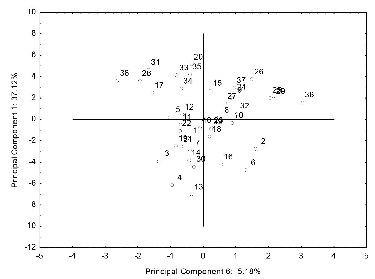 Scatter plot showing the genetic relationships among 40