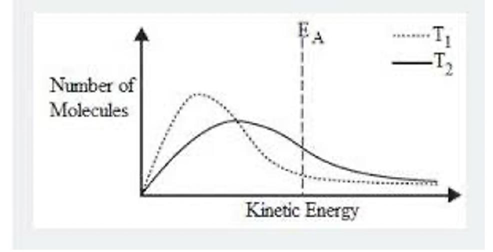 Temperature And Kinetic Energy Diagram