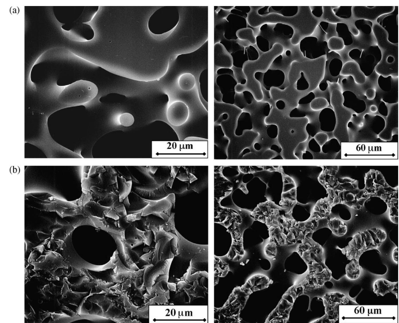 Scanning electron micrographs of spg membrane with a