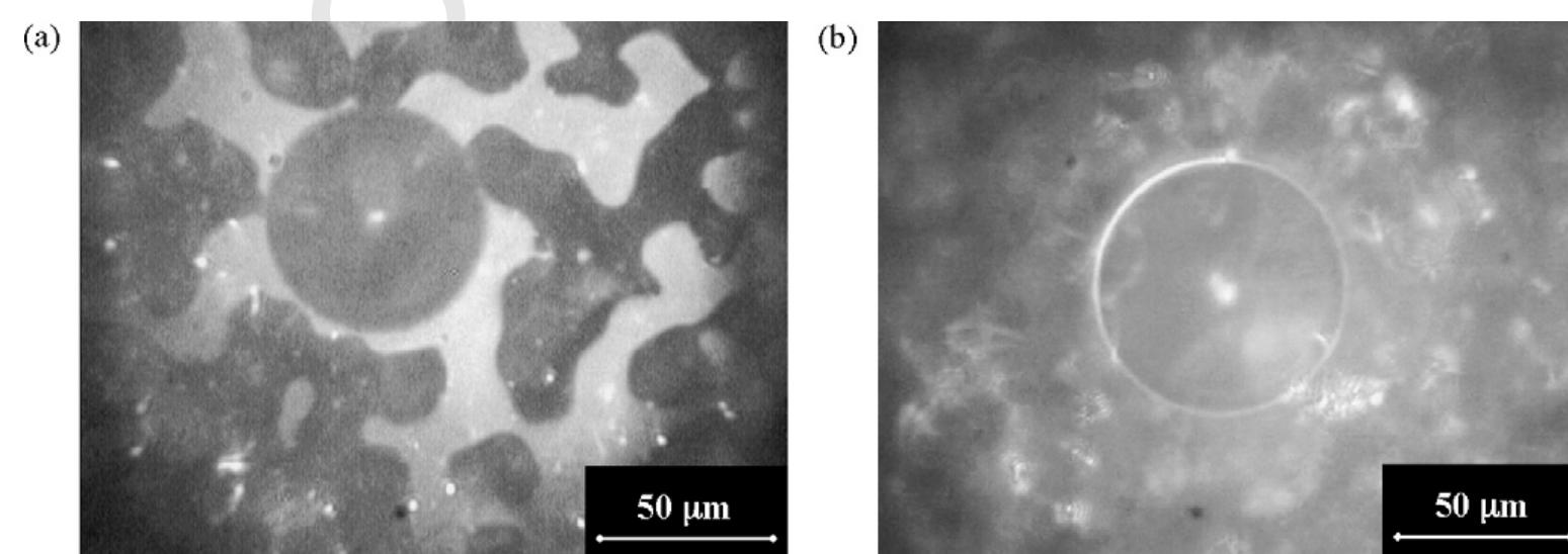 Microscopic images of droplet formation on the surface of