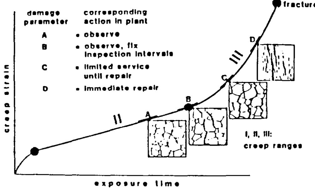 Neubauer and wedel’s classification of creep damage from