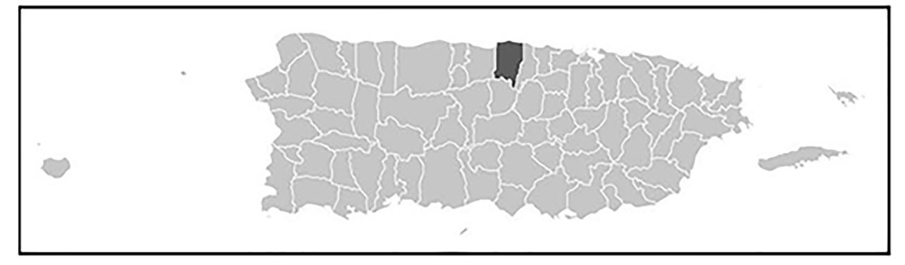 Figure 1 - from The paso del indio site (VB-4), Puerto Rico: