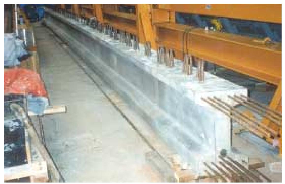 Typical beam fig. 6: forms and pretensioning frame