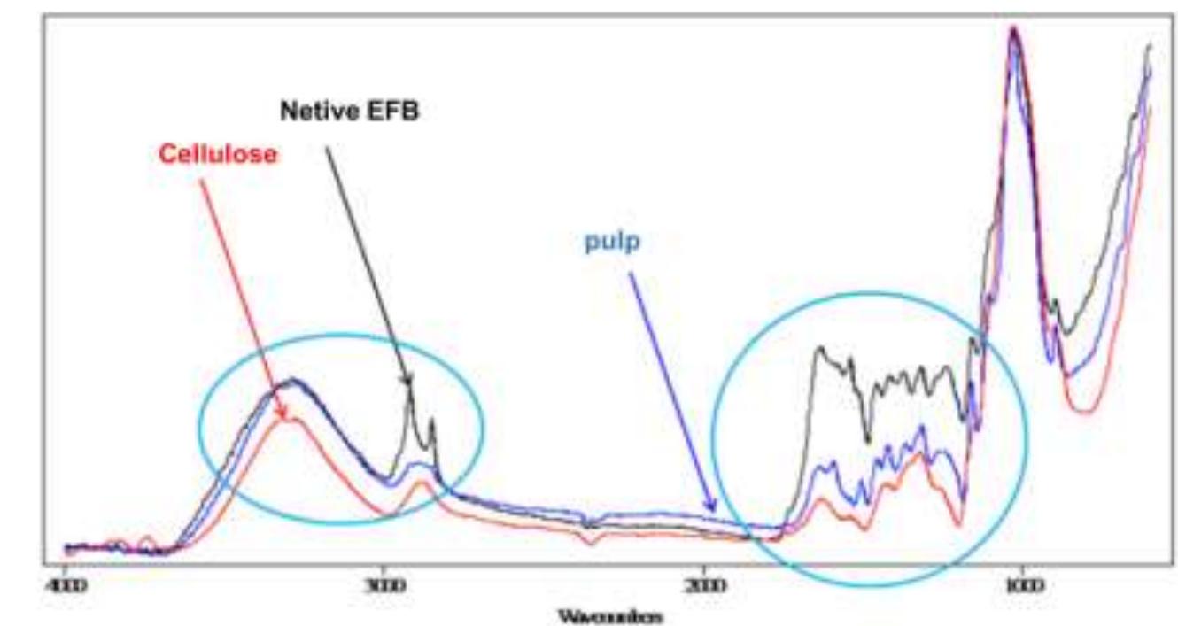 Ftir spectra of the native efb, pulp and cellulose (bleached