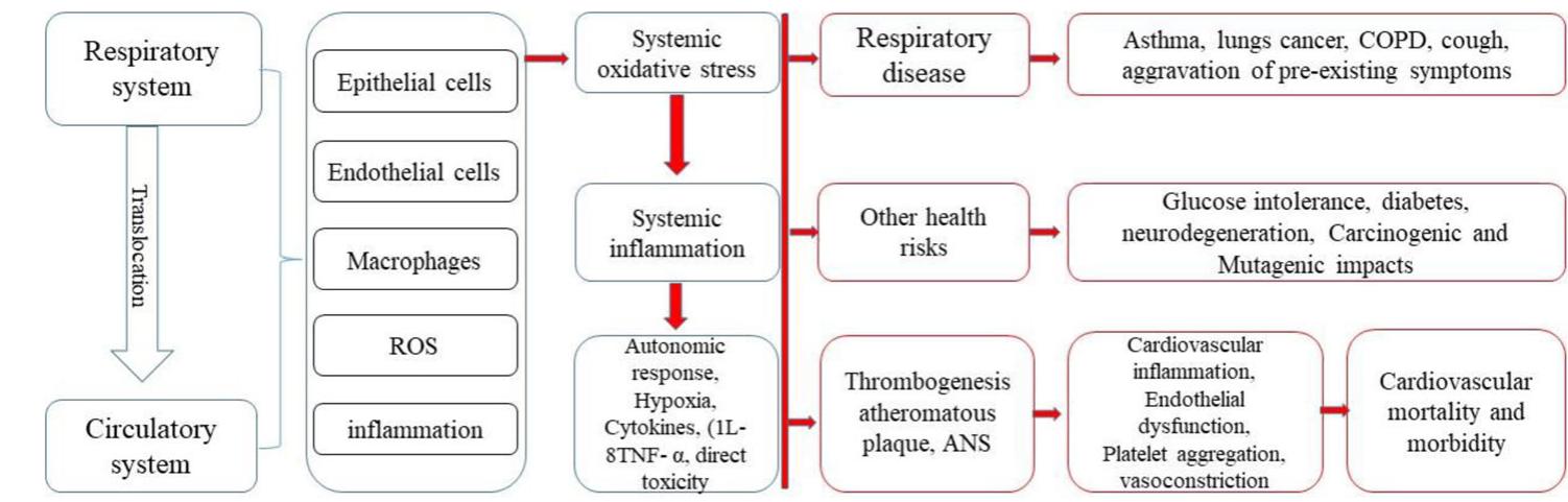 Figure 6 - Pollution characteristics, mechanism of toxicity