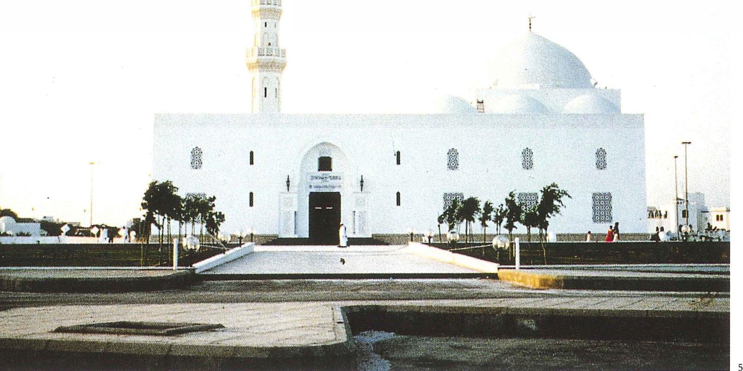 Figure 7 - The Mosques of Abdel Wahed El-Wakil