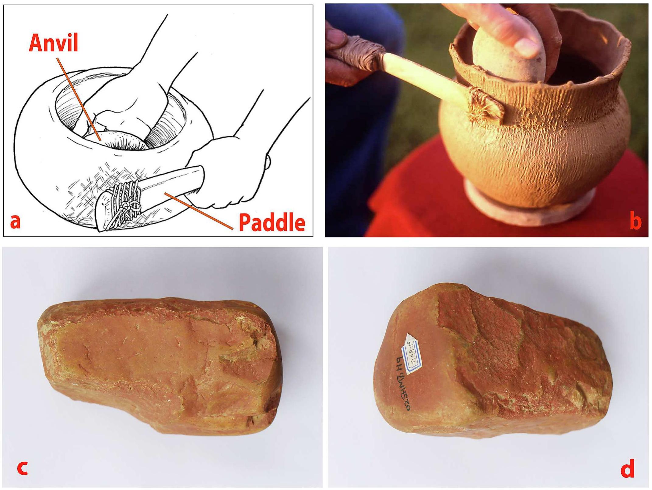 (PDF) Pottery production at the Miaodigou site in central China ...