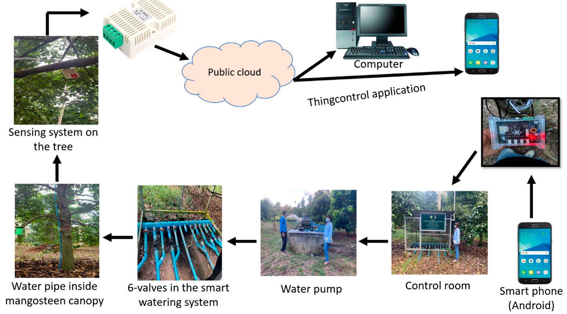 The complete process of smart watering system for