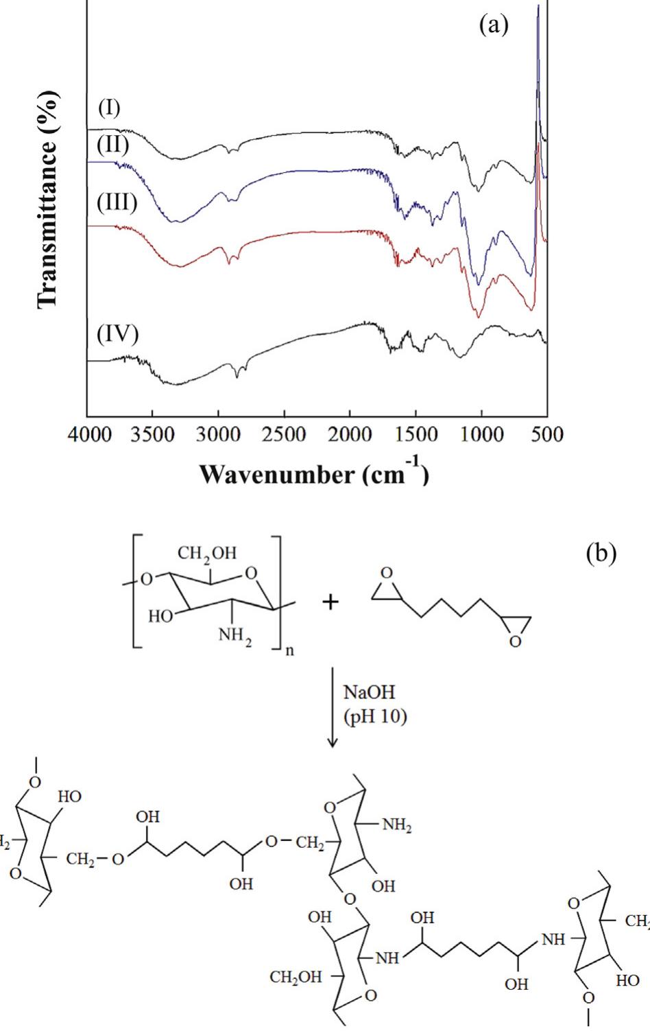 The (a) ftir spectra of (i) chitosan flakes, (ii) chitosan