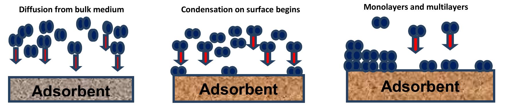 Schematic representation of adsorption of molecules on solid
