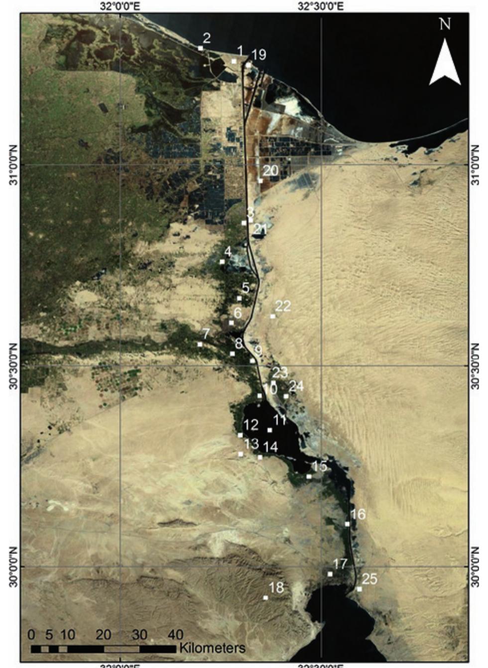 Map of the suez canal zone showing study sites. 1. port