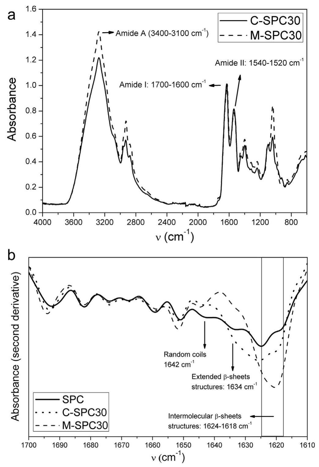 A) atr-ftir spectra of c-spc30 and m-spc30 films. b) amide i